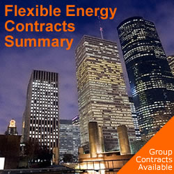 Flexible_gas_contracts - Business Energy Consultants - Catalyst Digital ...
