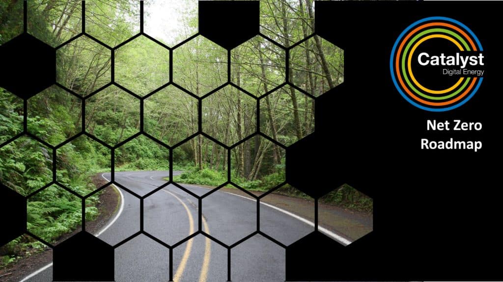 Net Zero Roadmap: Achieving A Carbon Neutral Future By 2035