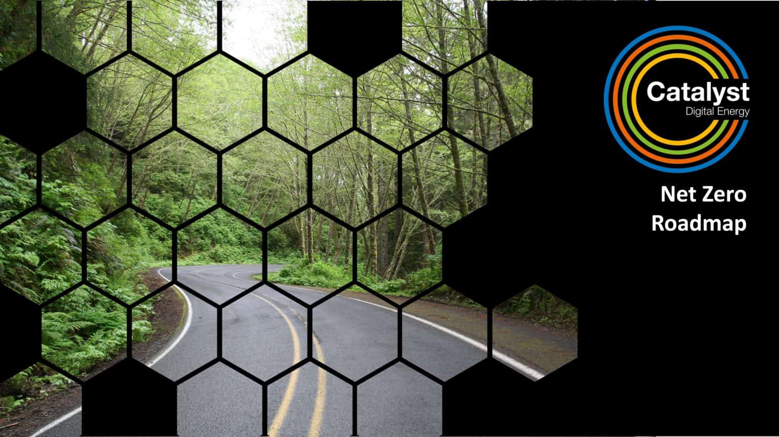 Net Zero Roadmap: Achieving A Carbon Neutral Future By 2035