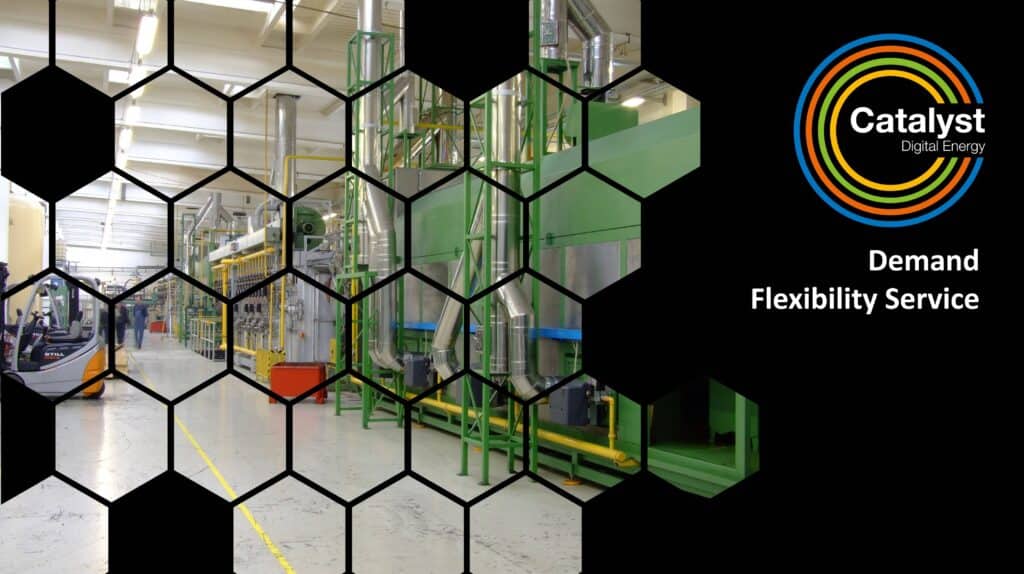 Maximise Your Earnings National Grid's Demand Flexibility Service