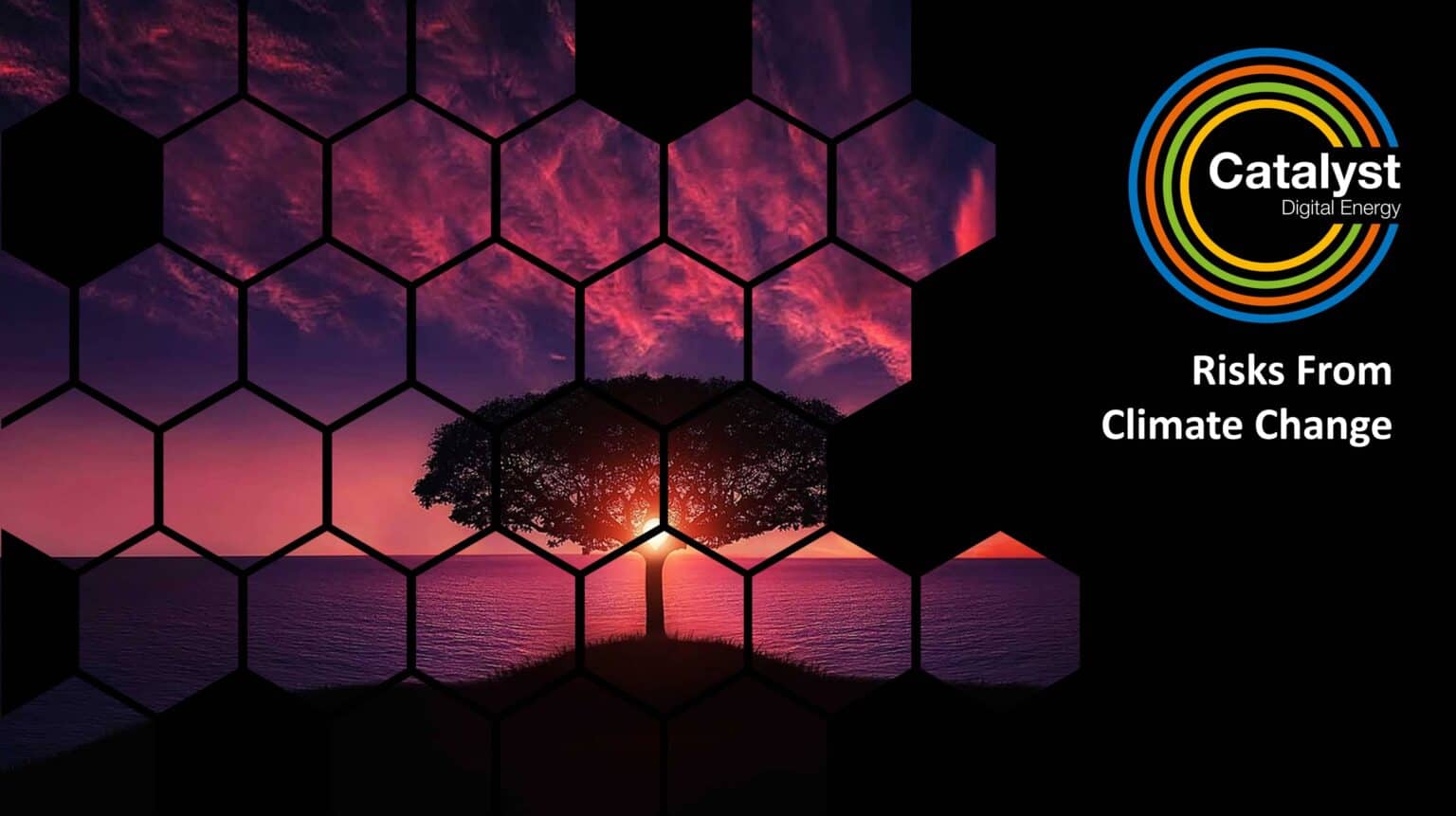 Preparing For Climate Change Risks: What Businesses Can Do