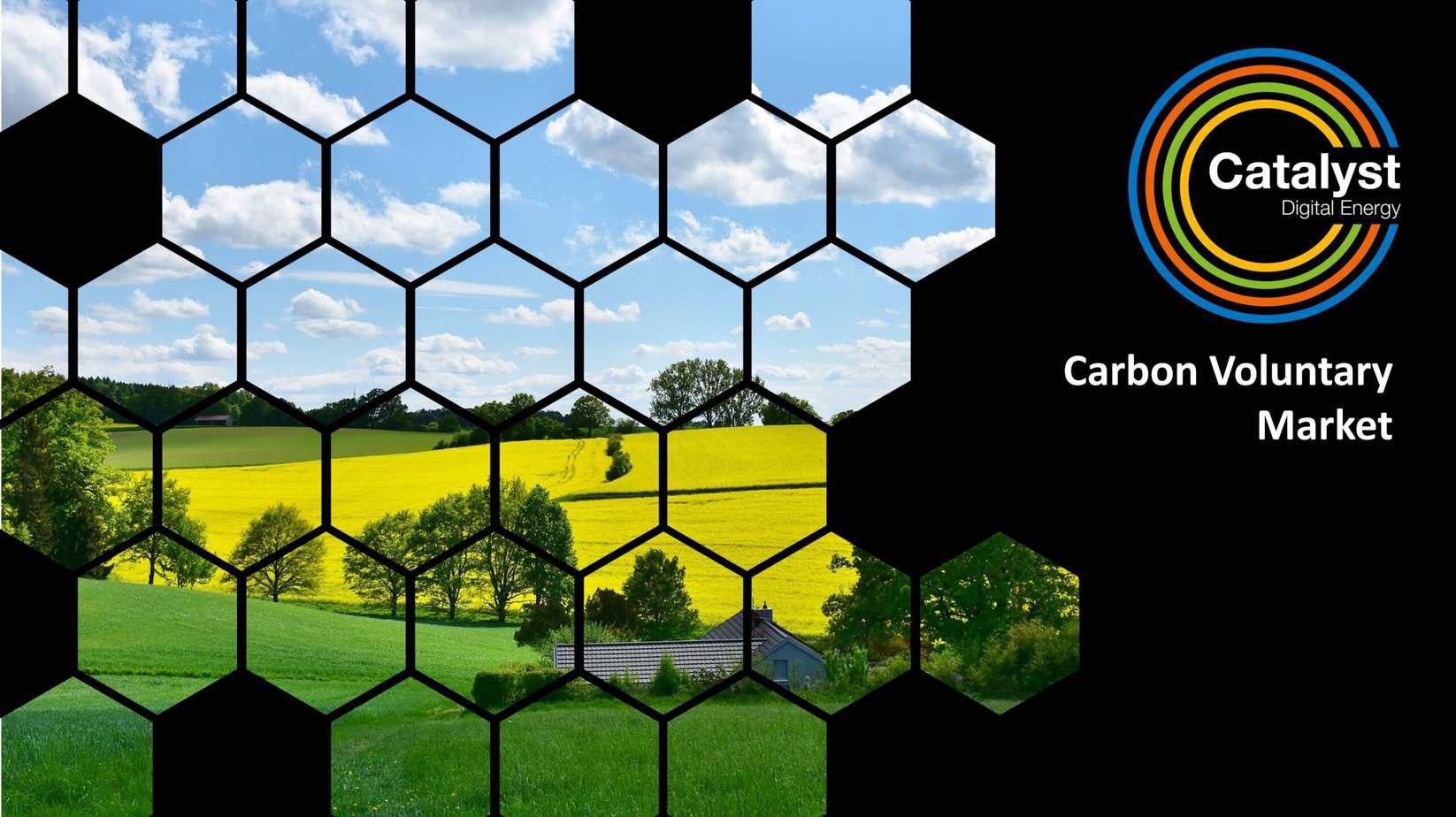 Discover The Carbon Voluntary Market And Offsetting Strategies