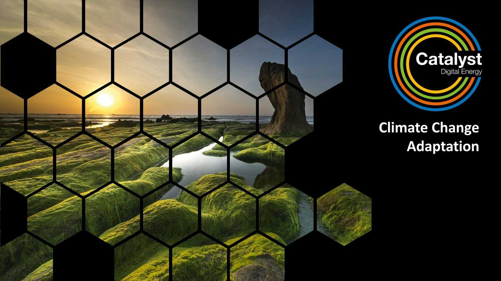 Net Zero And Climate Change Adaptation In The UK