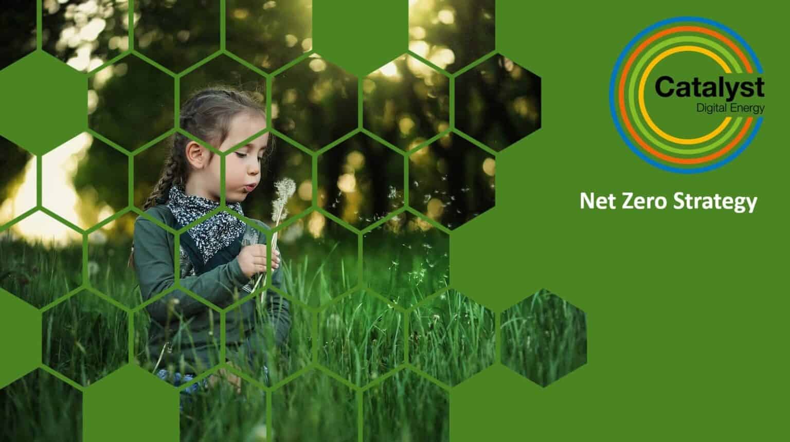 Net Zero Strategy - Start your path towards net zero