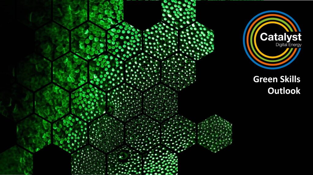 Green Skills Outlook Investing In The UK